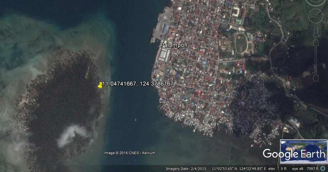 Meeting and Workshop Venue – Mangrove Ecology