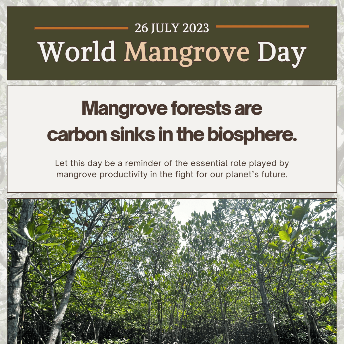 International Day for the Conservation of Mangrove Ecosystems 2023 ...