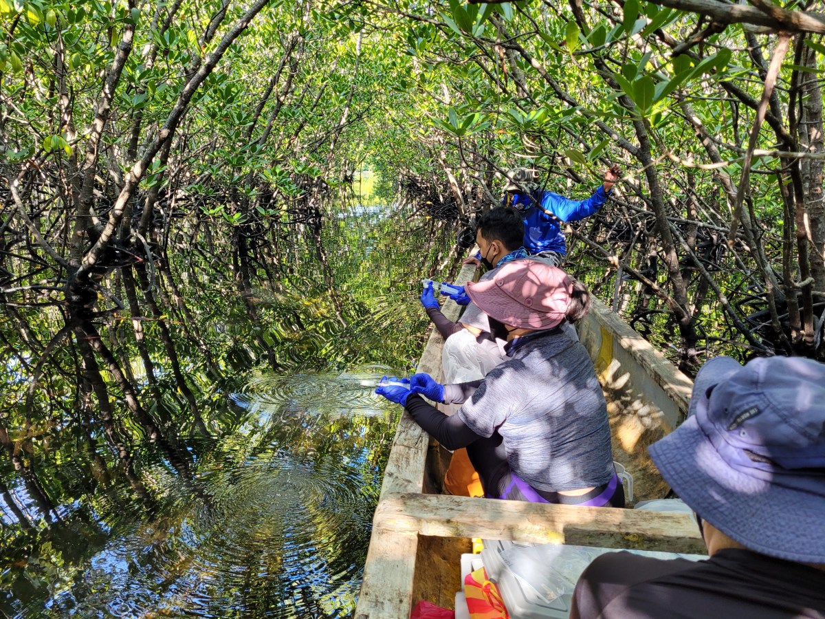 Highlighting Fish Biodiversity for 2024’s International Day for the ...