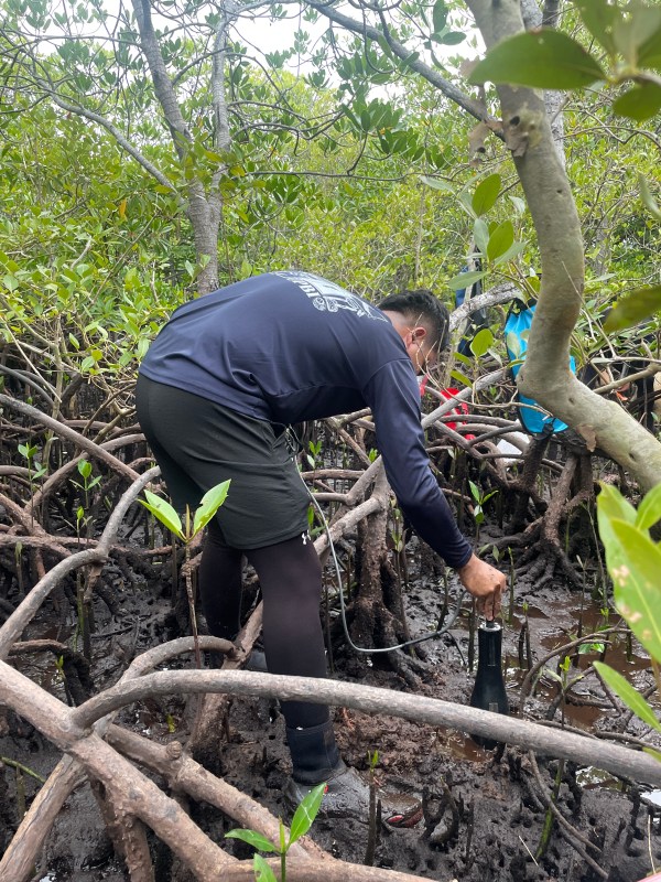 Studying the mangrove soils of Prieto Diaz, Sorsogon – Mangrove Ecology