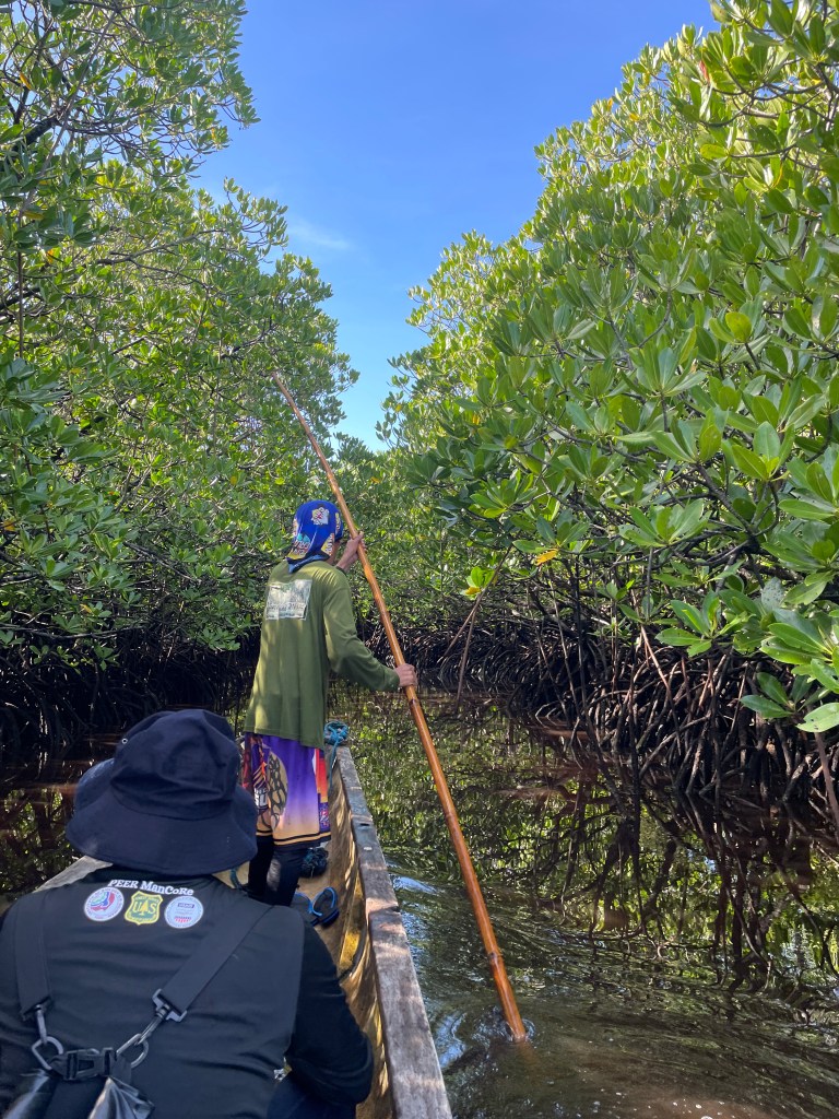 Studying the mangrove soils of Prieto Diaz, Sorsogon – Mangrove Ecology