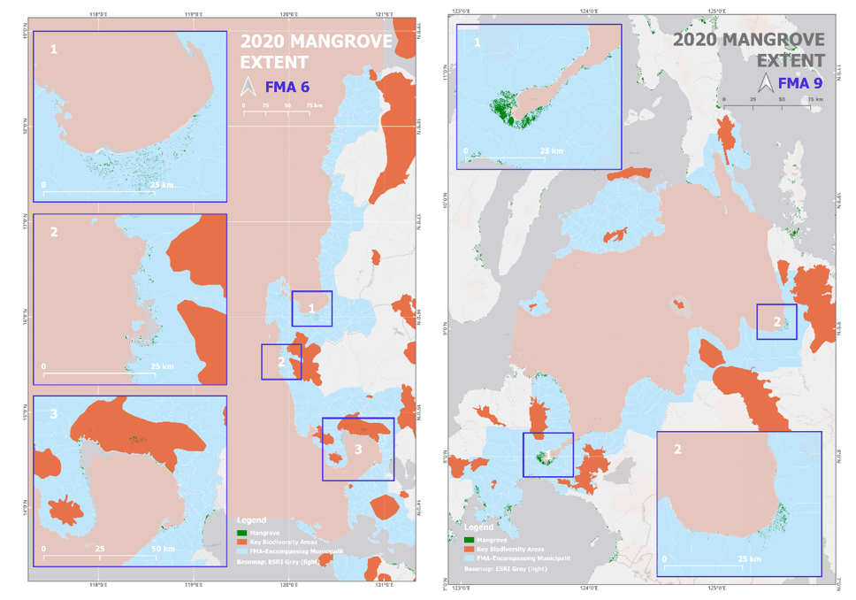 BLUE CAP: Assessing Mangrove and Seagrass Ecosystem’s Blue Carbon ...