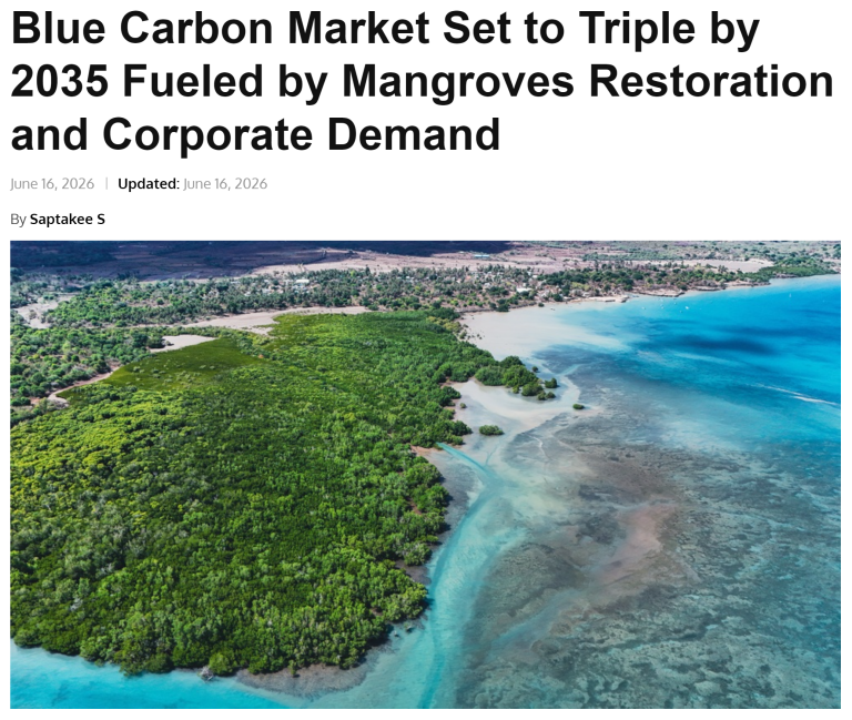 Blue carbon market growth advances opportunities for mangrove and ...