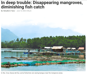 Mangrove loss and decline in fish catch – Mangrove Ecology